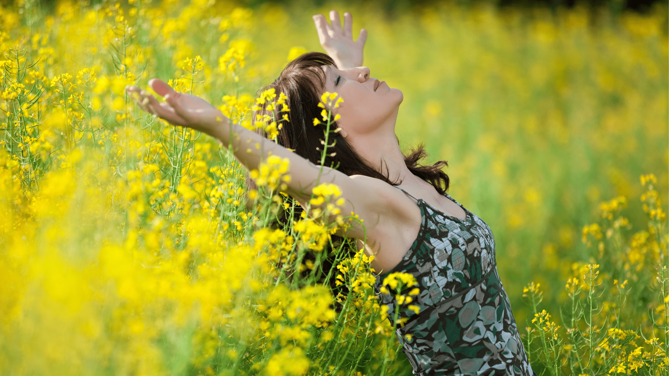 Using Nature to Improve Your Mental Health | New Life Therapy